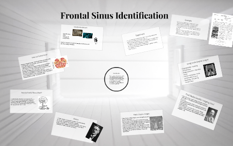 Frontal Sinus Identification by Sadie Espinoza on Prezi