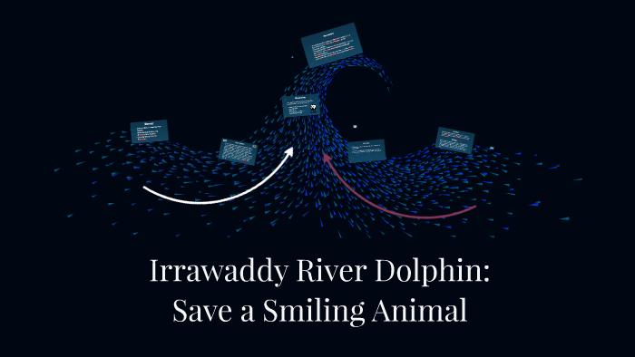 Irrawaddy River Dolphin: by dona karr