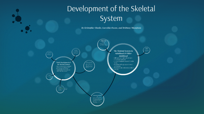 Development of the Skeletal System by Brittany Thompson on Prezi