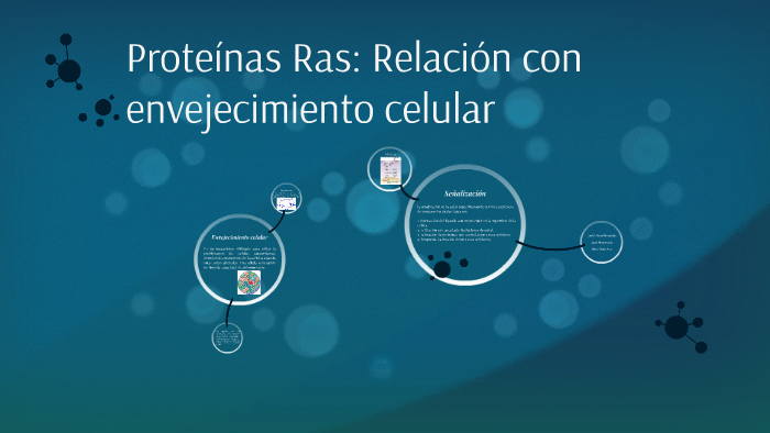Proteínas Ras: relación con envejecimiento celular by Juan Diego Osorio ...