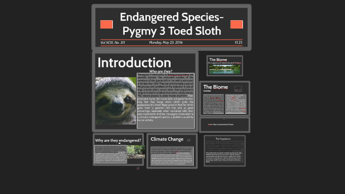 Endangered Animals- Pygmy 3 Toed Sloth by MLG PRO 360 NOSCOPE BRUH on Prezi