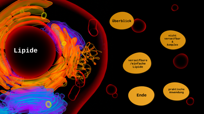 Lipide by Lucas Lüdtke on Prezi