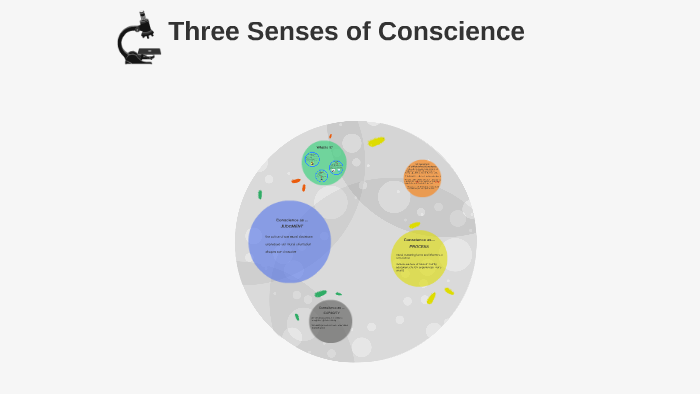 Three Senses of Conscience by Abigail Kelly on Prezi