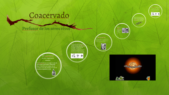 Coacervado by Andrea Karely on Prezi