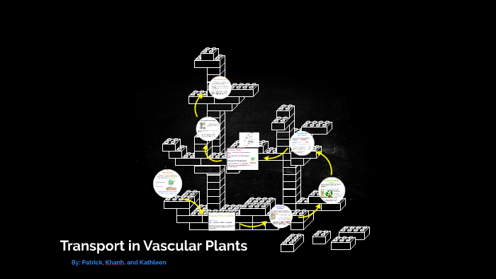 Biology ISU - Plants by Kathleen Albeos on Prezi