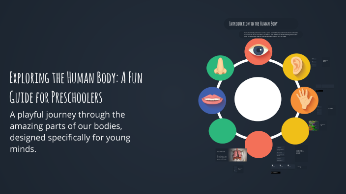 Exploring the Human Body: A Fun Guide for Preschoolers by Nursery ...