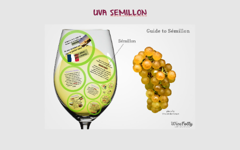 UVA SEMILLON by fannye zavala on Prezi