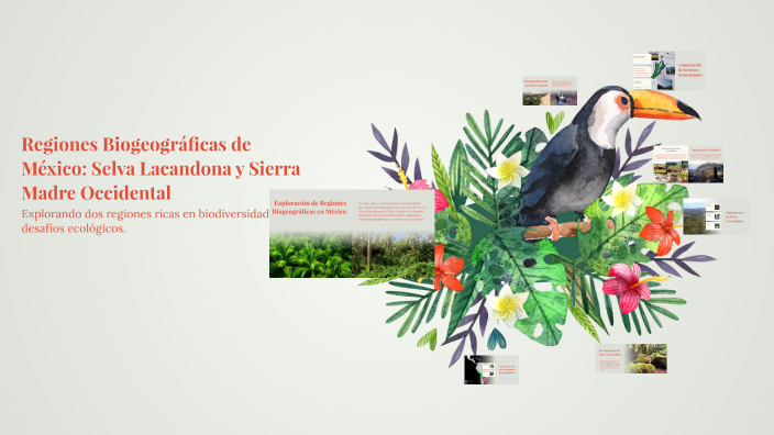 Regiones Biogeográficas de México: Selva Lacandona y Sierra Madre ...