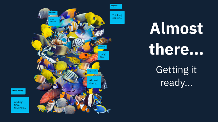 Visualizing the Food Web and Energy Pyramid in Finding Nemo by Burton ...