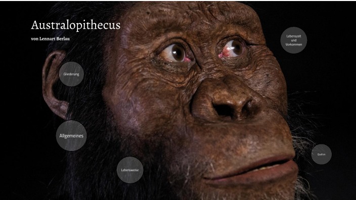 Australopithecus by lenni sdfds on Prezi