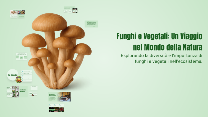 Funghi e Vegetali: Un Viaggio nel Mondo della Natura by fatima touil on ...