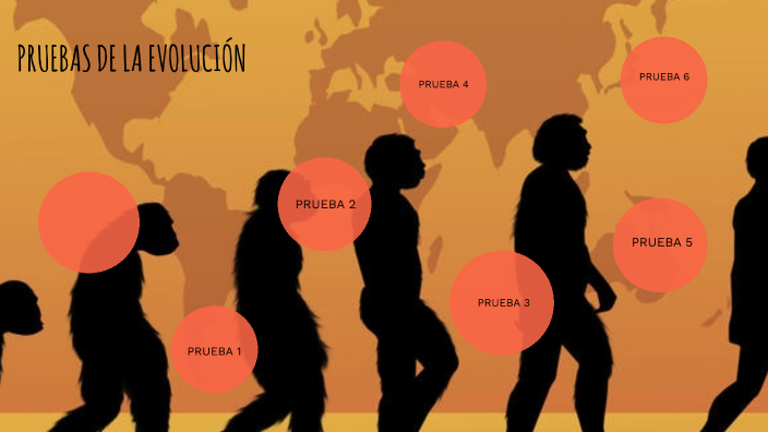 pruebas de la evolución by Carolina Esteras Sambola on Prezi