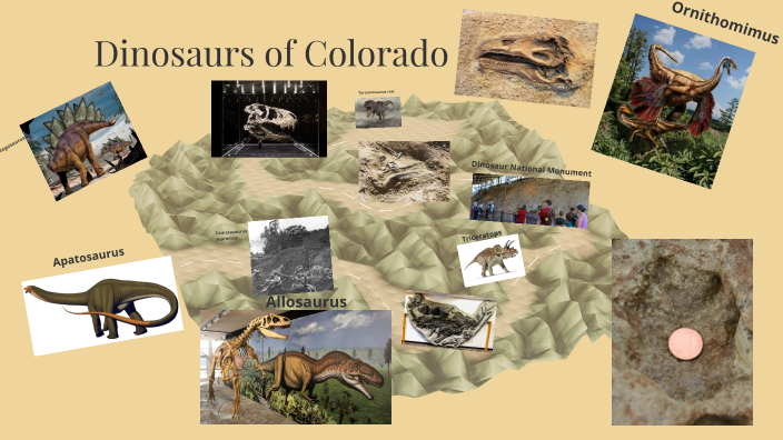 Dinosaurs of Colorado by Michael Lawson on Prezi