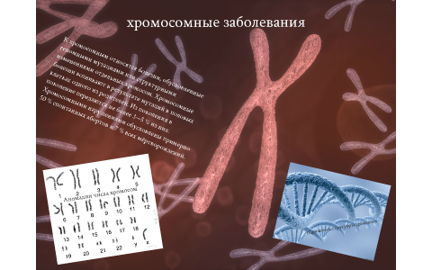 хромосомные заболевания by Ilya Bykov on Prezi