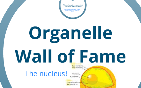 Organelle Wall of Fame by Colby Inman on Prezi