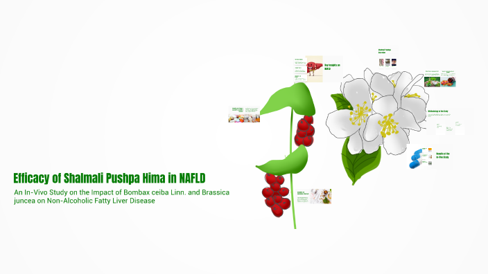 Efficacy of Shalmali Pushpa Hima in NAFLD by DEEKSHA MAURYA on Prezi