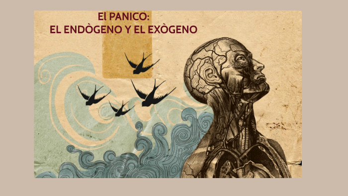 El pànico: El endogeno y el Exogeno by Ivette Coronado on Prezi