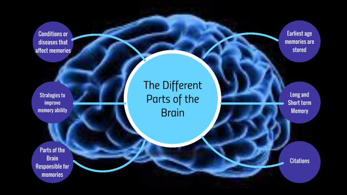 The Science of Memories by John Sobba on Prezi