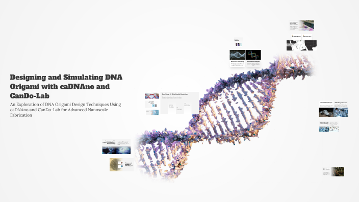 Designing and Simulating DNA Origami with caDNAno and CanDo-Lab by ...