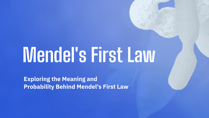 Understanding Mendel's First Law by Heba Abo-Amera on Prezi