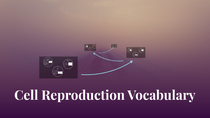 Cell Reproduction Vocabulary by Jay Jackman on Prezi