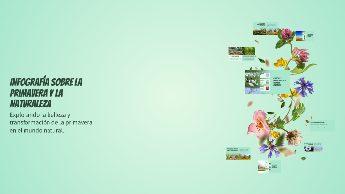 Infografía sobre la Primavera y la Naturaleza by Ariana Vilcas on Prezi
