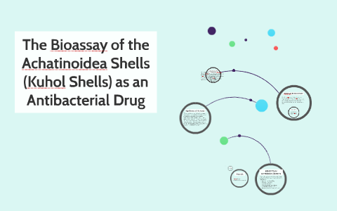Achatinoidea Shells (Kuhol Shells) as Antibacterial Drug usi by Ivonne ...