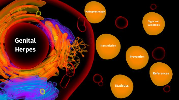 Pathophysiology-Genital Herpes by Sarah Jablonski on Prezi