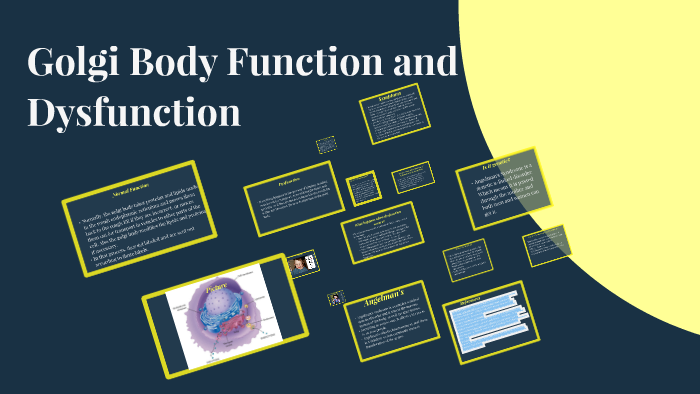 Golgi Body Function and Dysfunction by Natalie Carow on Prezi