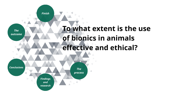 bionics in animals by kate ward on Prezi