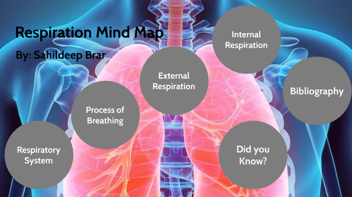 Respiration Mind Map by Sahildeep Brar on Prezi