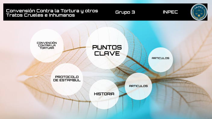 Convensión Contra la Tortura y otros Tratos Crueles e Inhumanos by ...