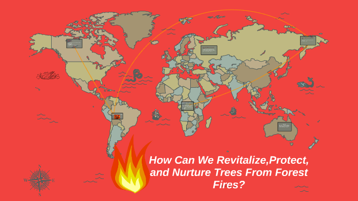 how to stop forest fires by caleb lelacheur on Prezi