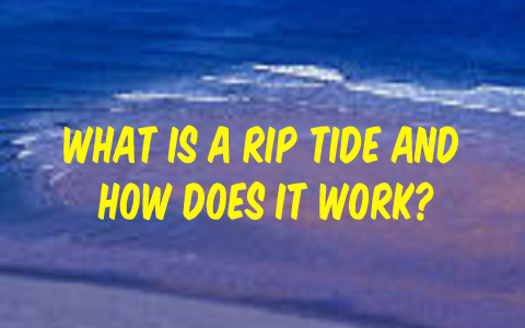 What is a rip tide and how does it work? by Remle Sauer on Prezi