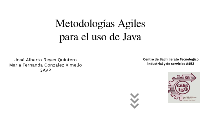 Metodologías Agiles para el uso de Java by Mario Fernando Reyes ...