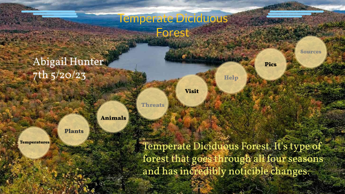 Temperate Deciduous Forest by Abigail Hunter on Prezi