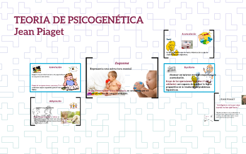 TEORIA DE PSICOGENÉTICA by adriana cruz on Prezi