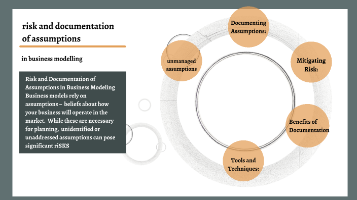risk and documentation of assumptions in business modelling by akshitha ...
