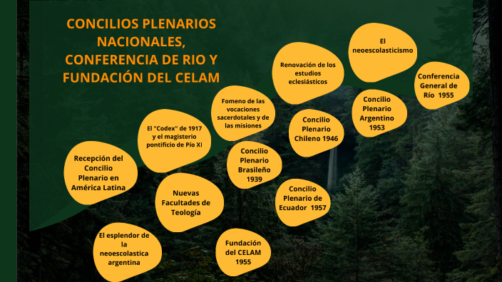 Capítulo VII. Concilio Plenarios Nacionales, Conferencia de Rio y ...