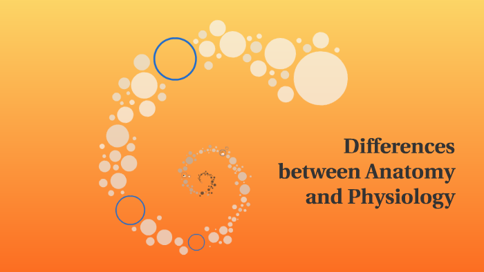 differences-between-anatomy-and-physiology-by-sophia-r