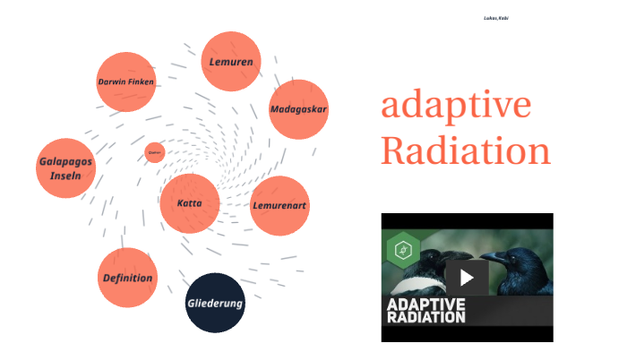 Bio 12. Klasse Adaptative Radiation by Kabilen Hireskumar on Prezi