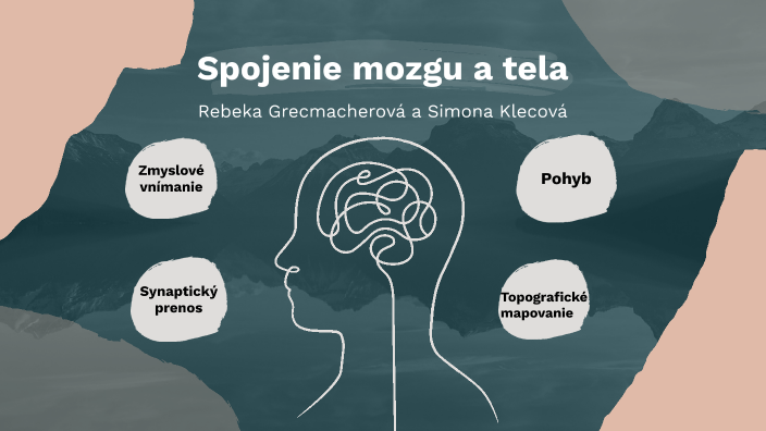 Ľudský mozog by Simona Klecová on Prezi