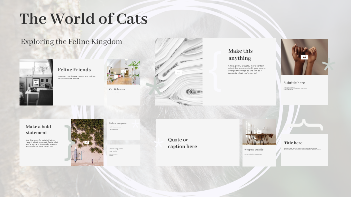 Cats by Agata Kluska on Prezi