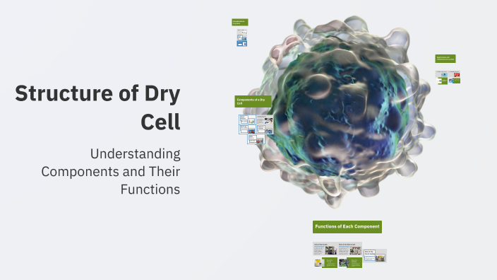 Structure of Dry Cell by Chidanand Pattanashetti on Prezi