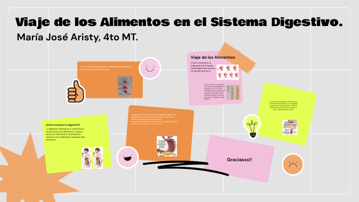 Viaje de los Alimentos en el Sistema Digestivo. by María José Aristy on ...