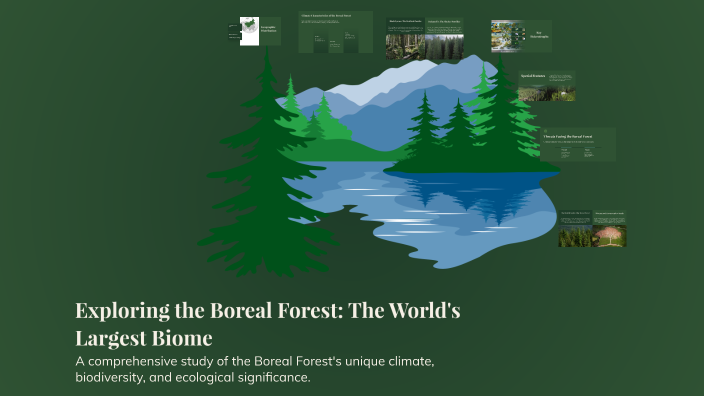 Exploring the Boreal Forest: The World's Largest Biome by Addison ...