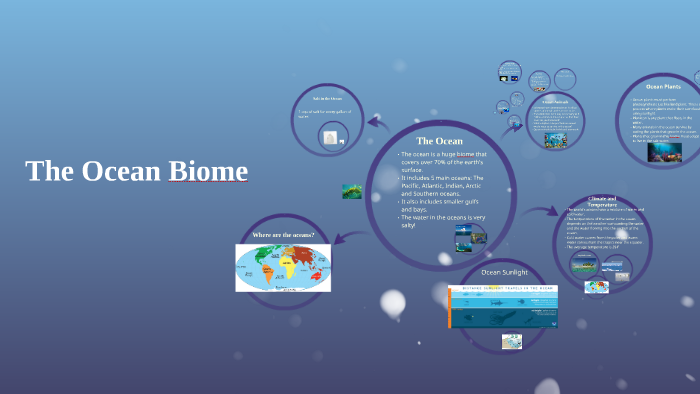The Ocean Biome by Hanna Scites on Prezi