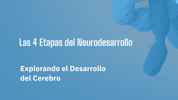 Las 4 Etapas del Neurodesarrollo by Tatiana Bazán on Prezi