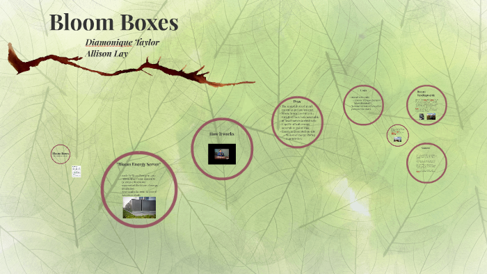 Bloom Boxes by Allison Lay on Prezi
