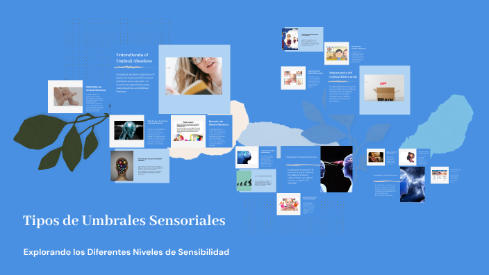 Tipos de Umbrales Sensoriales by Mirian Nuñez Garnica on Prezi